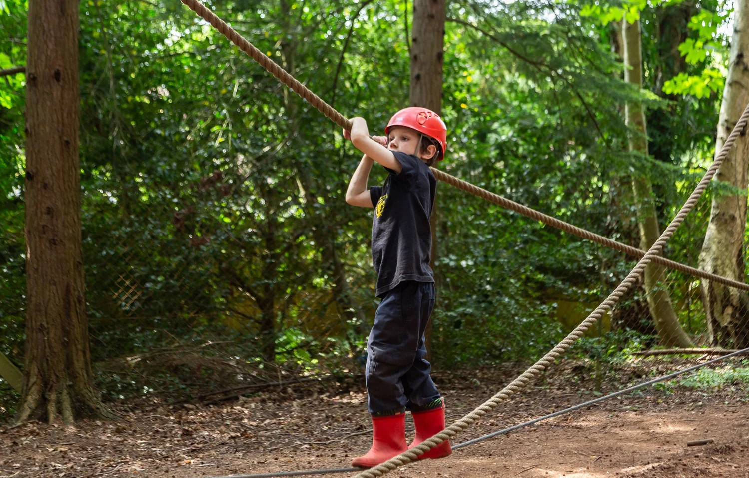 Low Ropes | Discover Teamwork Today — Walton Firs Activity Centre