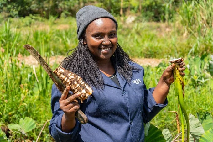 About Us — Jiinue Growth Program