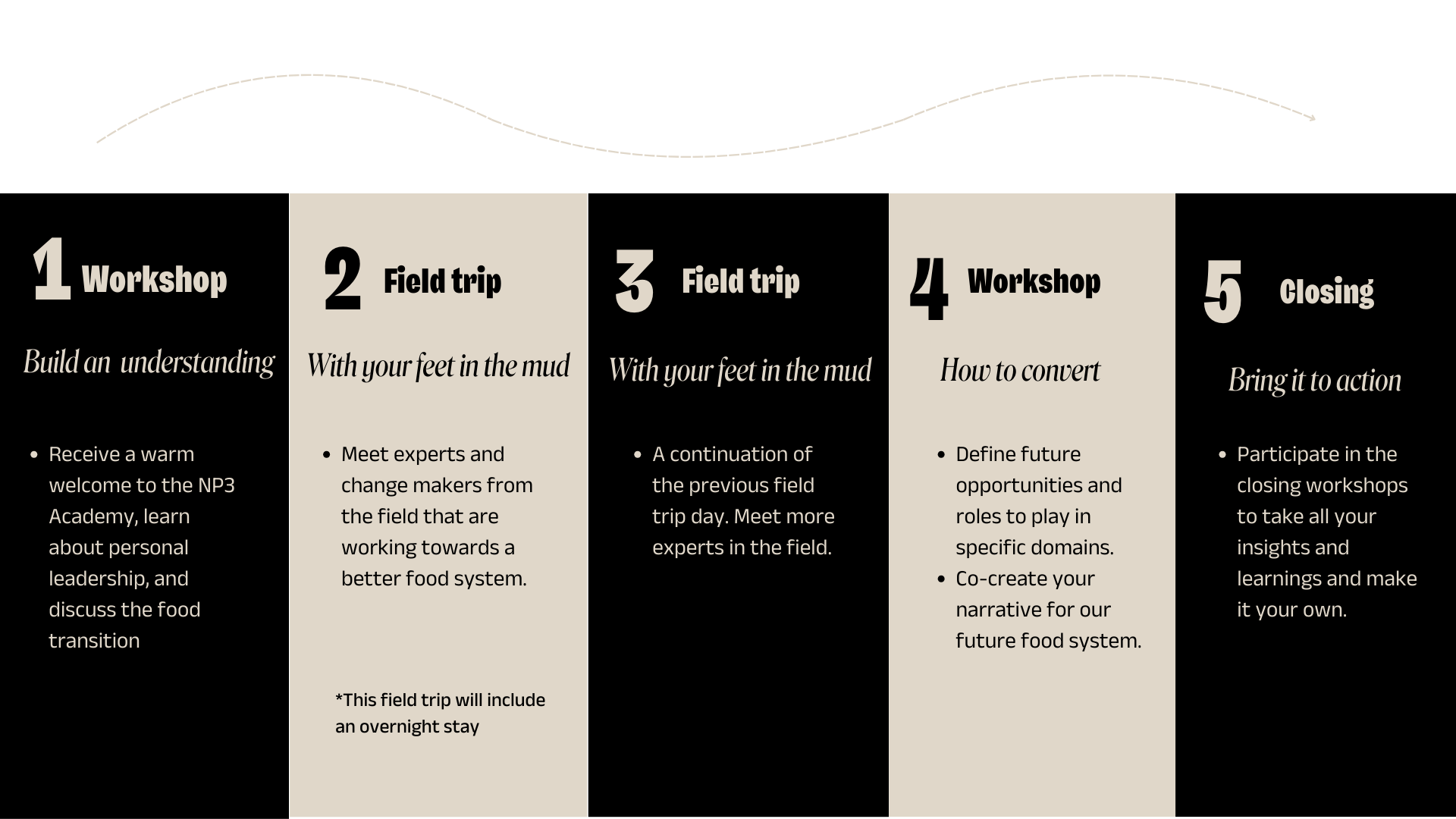 Young Academy — NP3