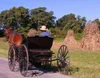Things to Do — Marion, Kentucky Tourism