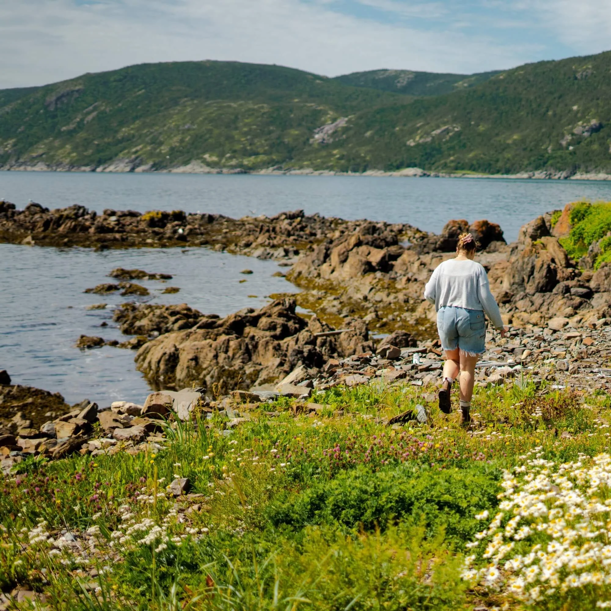 Things To Do — Northeast Secret Path | Main Brook, Croque, Conche ...