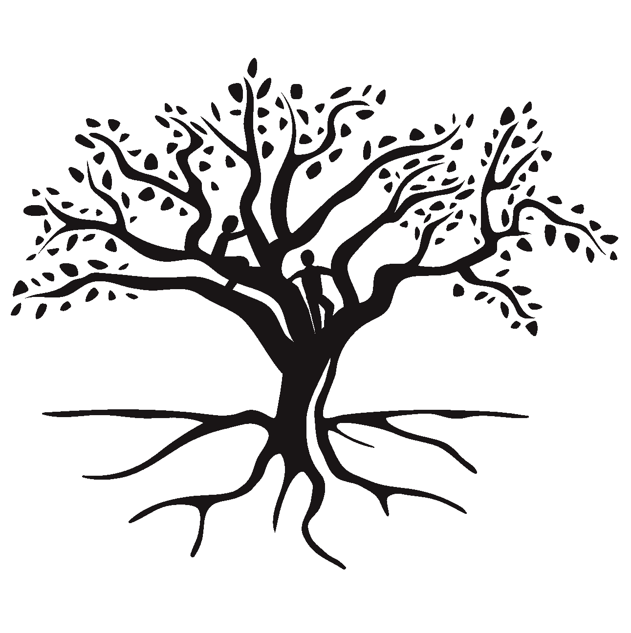 Paragon Engineering Services Inc.