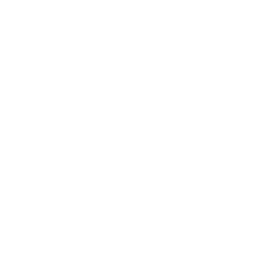 Paragon Engineering Services Inc.