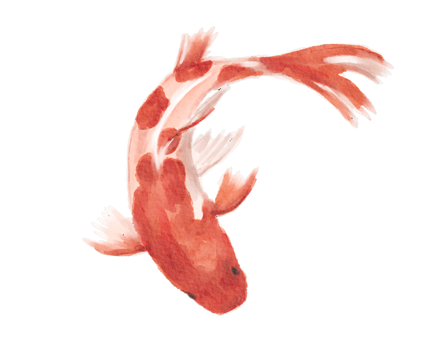 What is Scopophobia? | How to Treat Scopophobia, Treatment for Anxiety ...