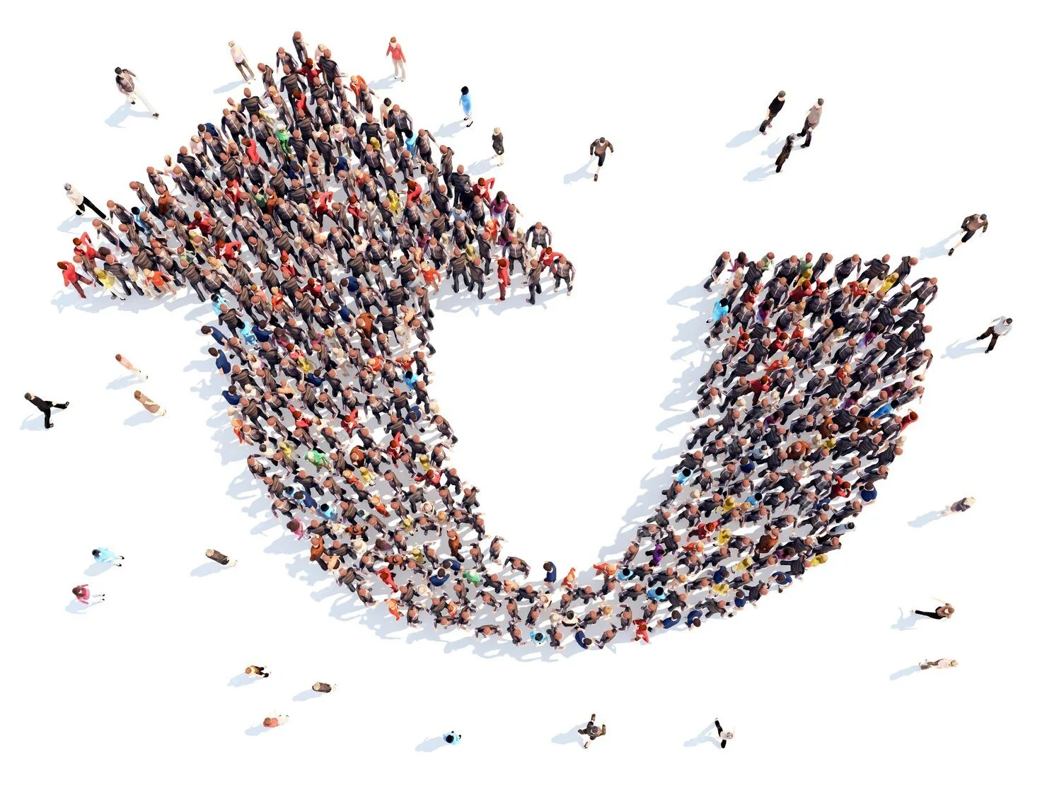 Maximizing Organizational Success Through Culture Alignment - Bob ...