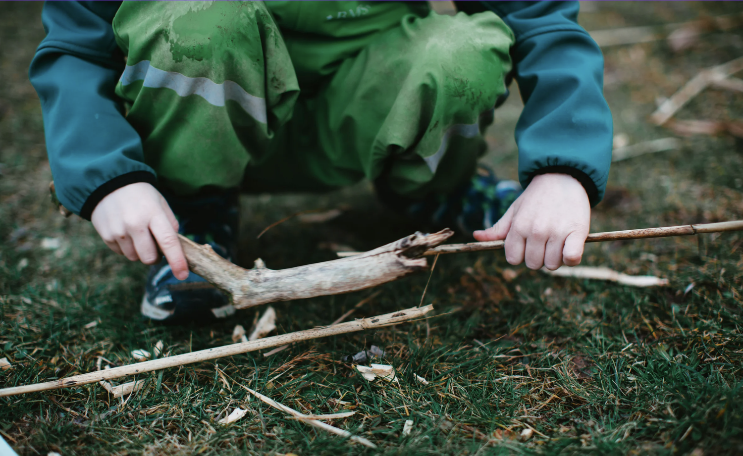 Sapling Woods NS | Nature-Based Education & Enrichment | Outdoor ...