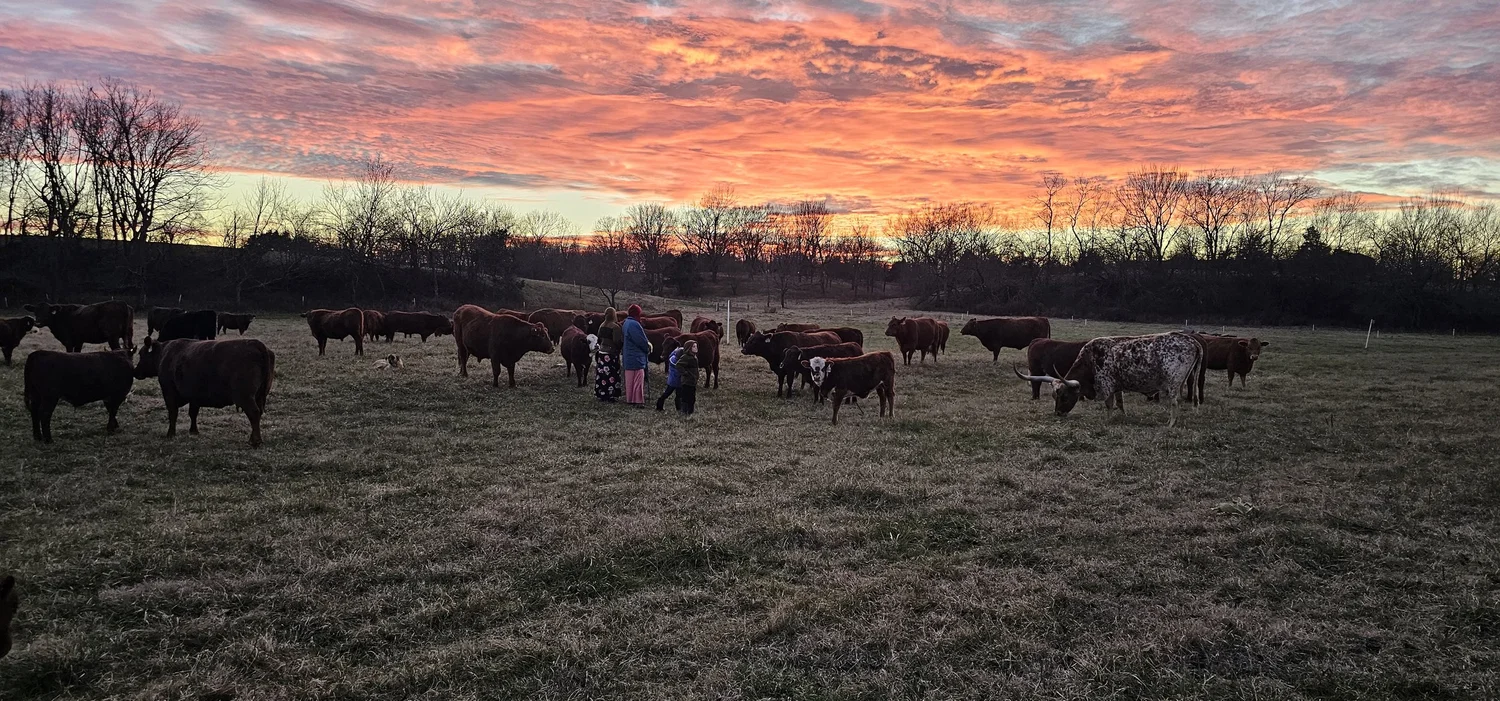 About | Purdy, MO — Graybill Grass Ranch