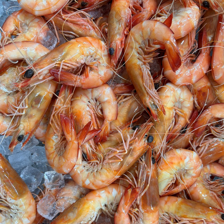 Mooloolaba Fisheries | Seafood Wholesalers & Retailers