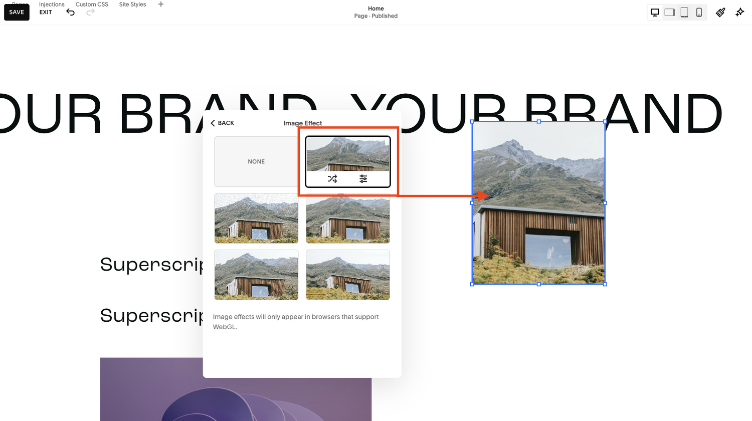 How to Add Animations to Your Squarespace Website — by Crawford