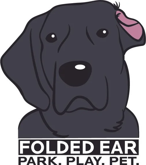 Folded Ear