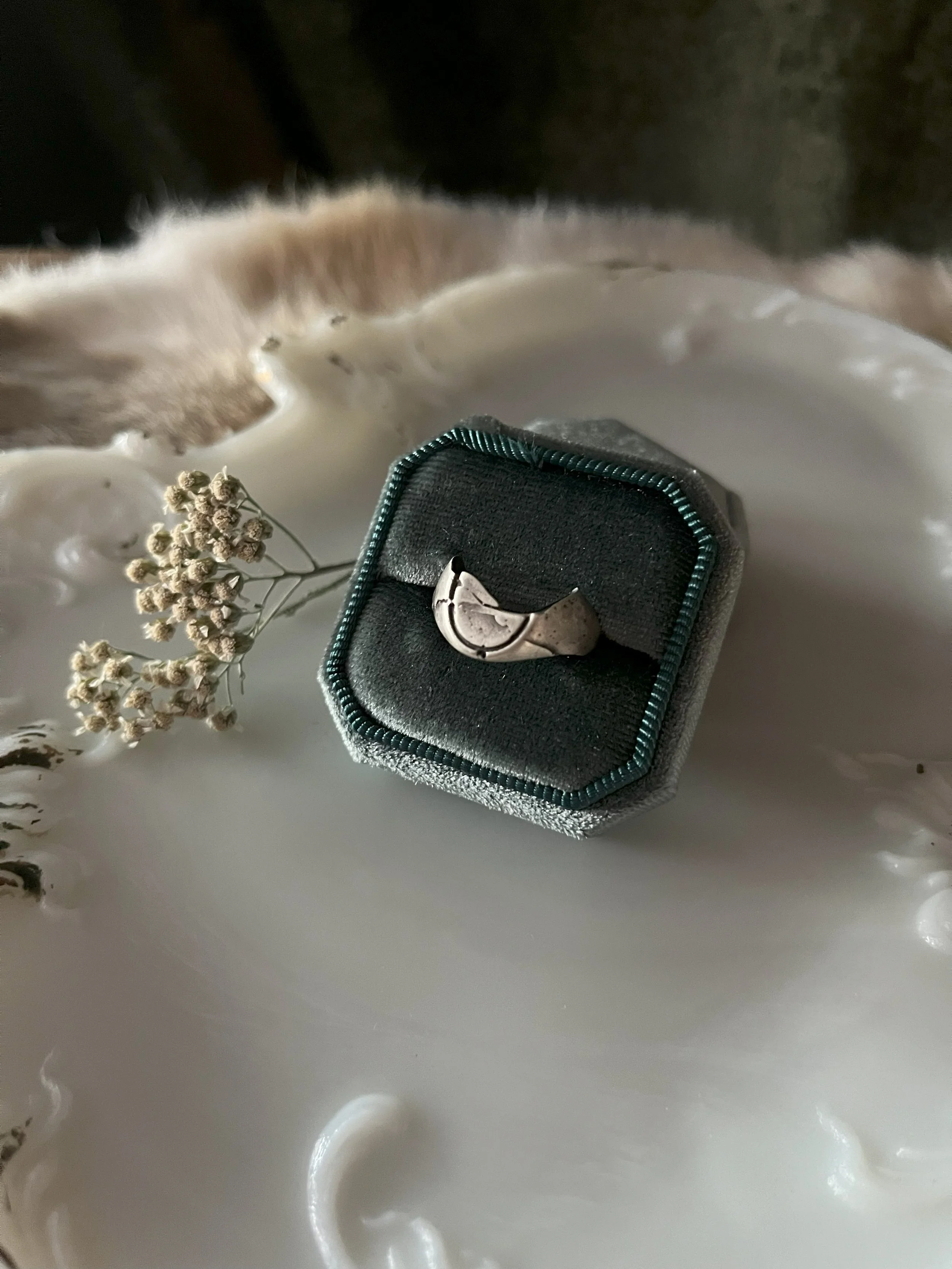 PRAIRIE GOTHIC | Explore Timeless Elegance
