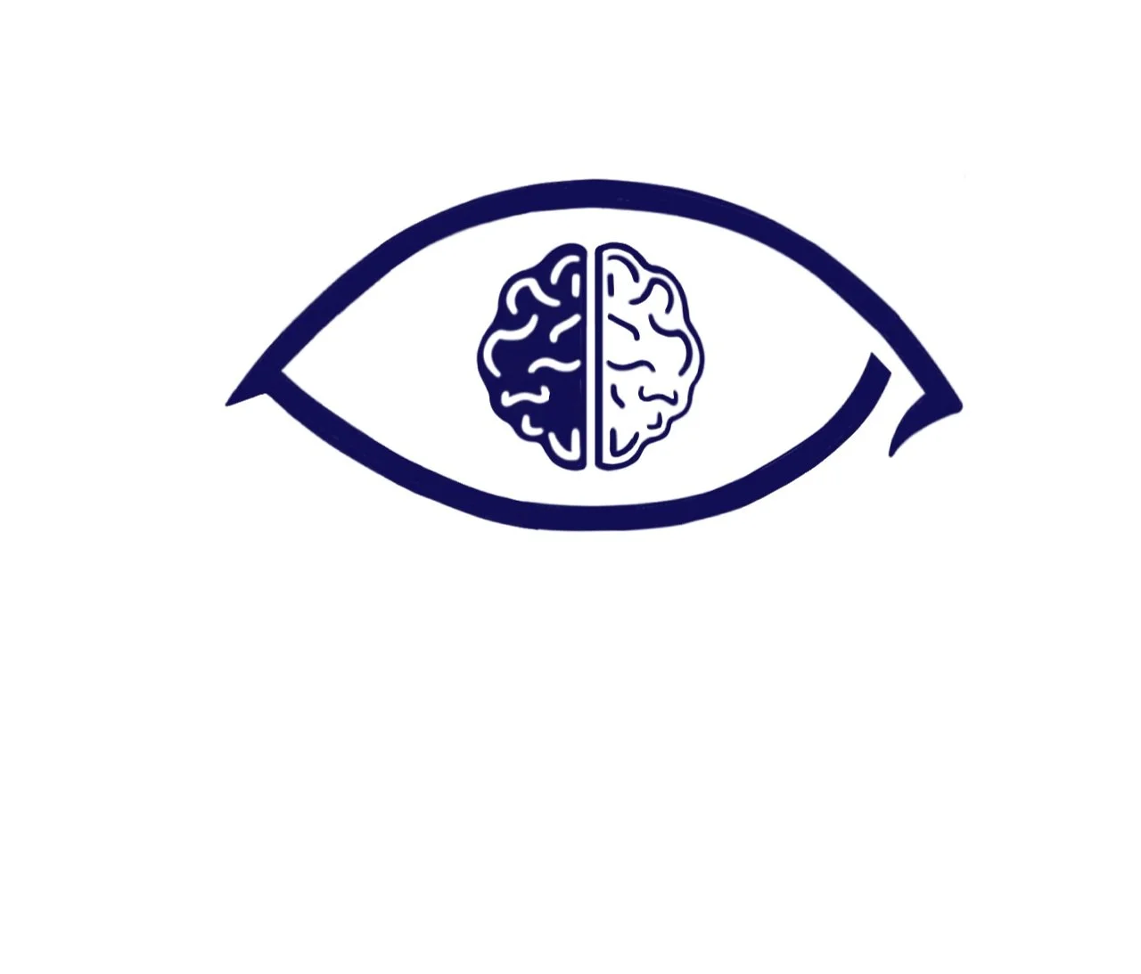 Migraine with visual aura | Understand and Identify — neurocompanion.org