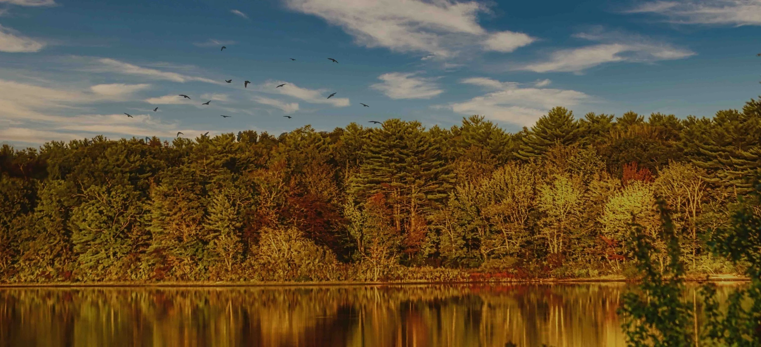 Gilbert Engineering Co., Inc. - DCP