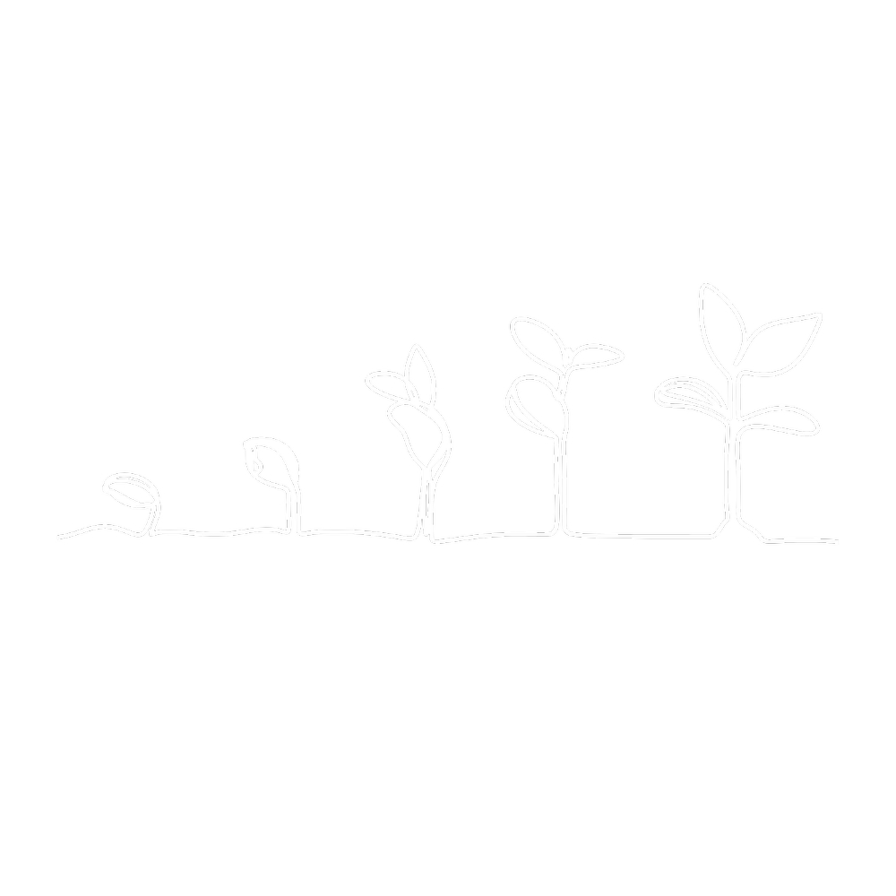 Compassion Tree Therapy | Healing Starts Here