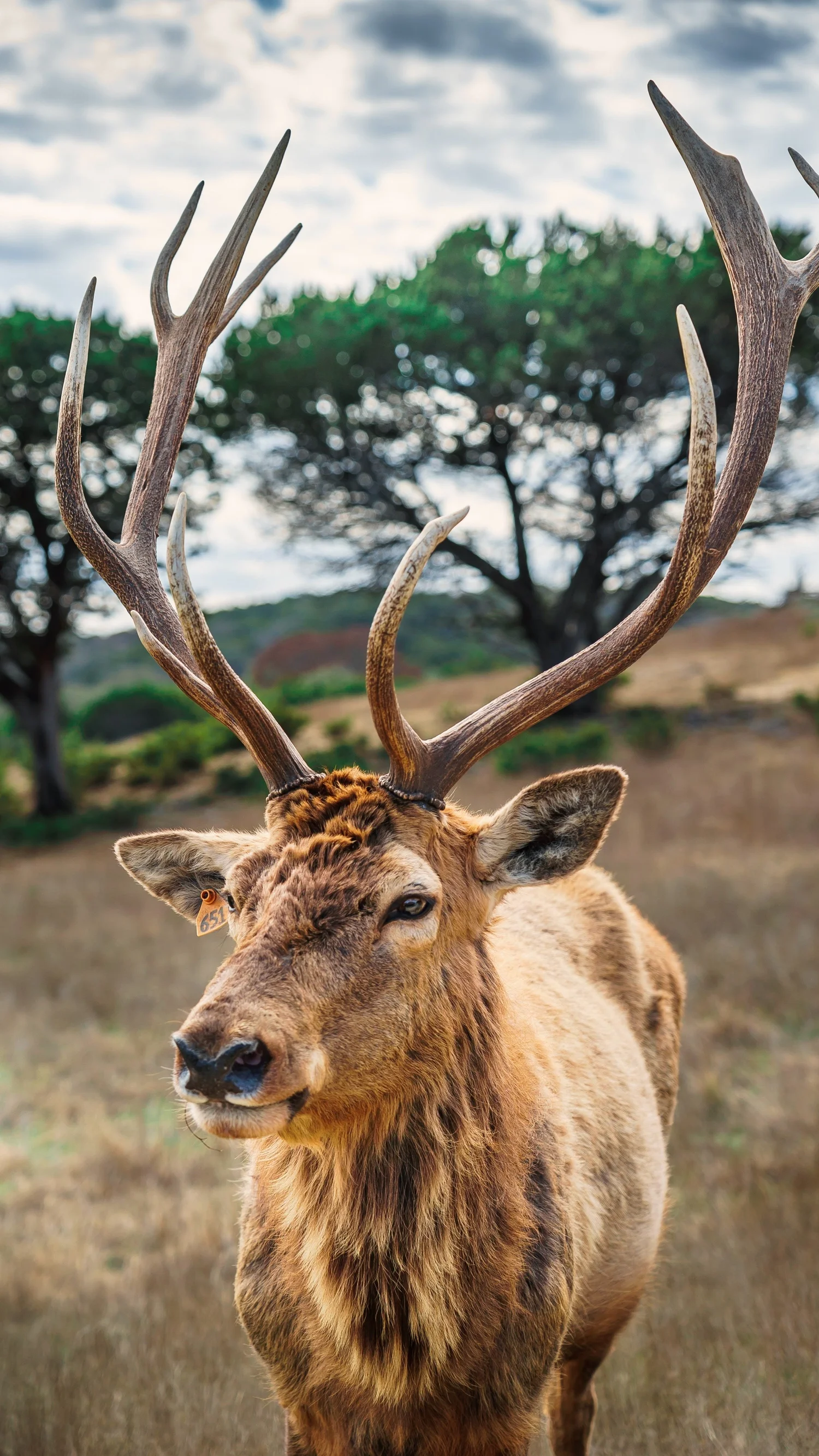 Protecting Our Planet: 5 Powerful Conservation Techniques — ReWorld