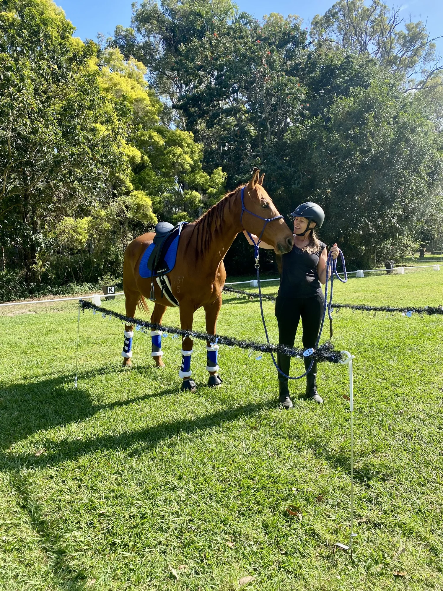 Horse Riding Lessons Brisbane | Ethical Horsemanship Training ...