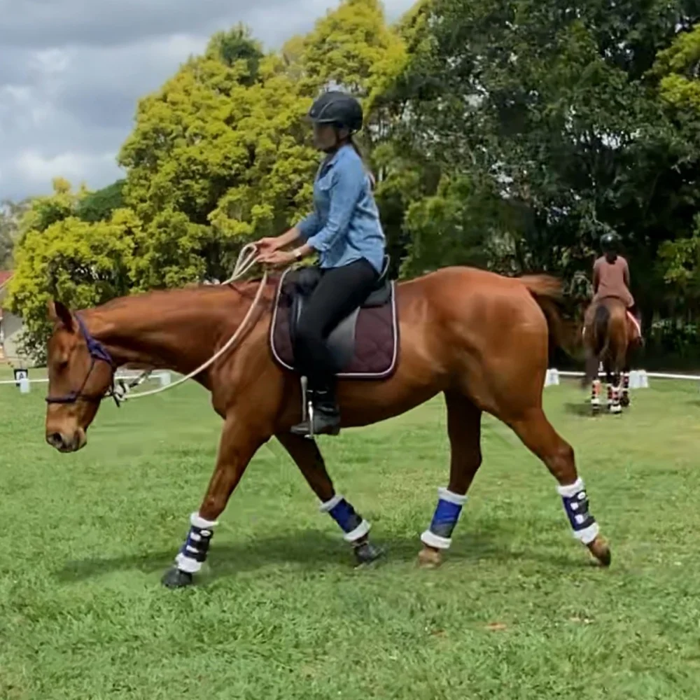 Horse Leasing Program Brisbane — Australian Liberty Equestrian Academy