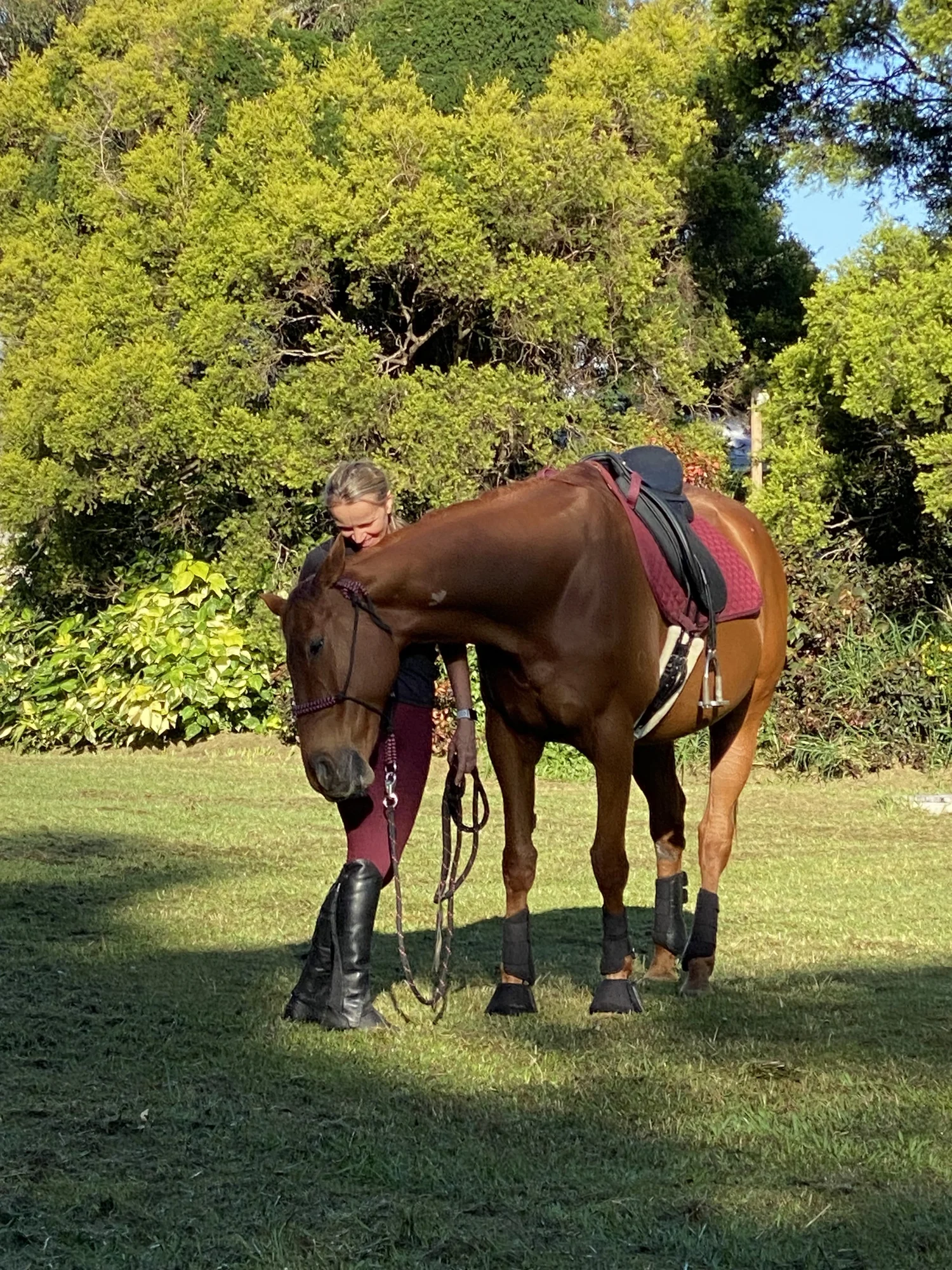 Horse Riding Lessons Brisbane | Ethical Horsemanship Training ...