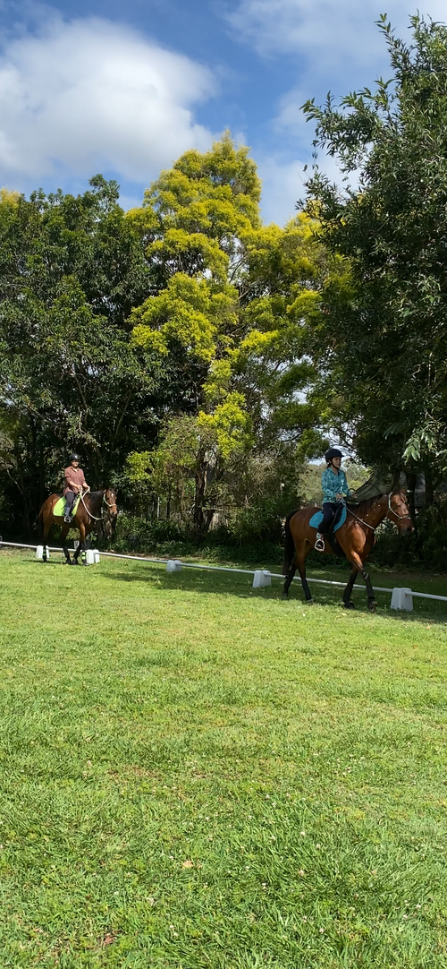 Horse Riding Lessons Brisbane | Ethical Horsemanship Training ...
