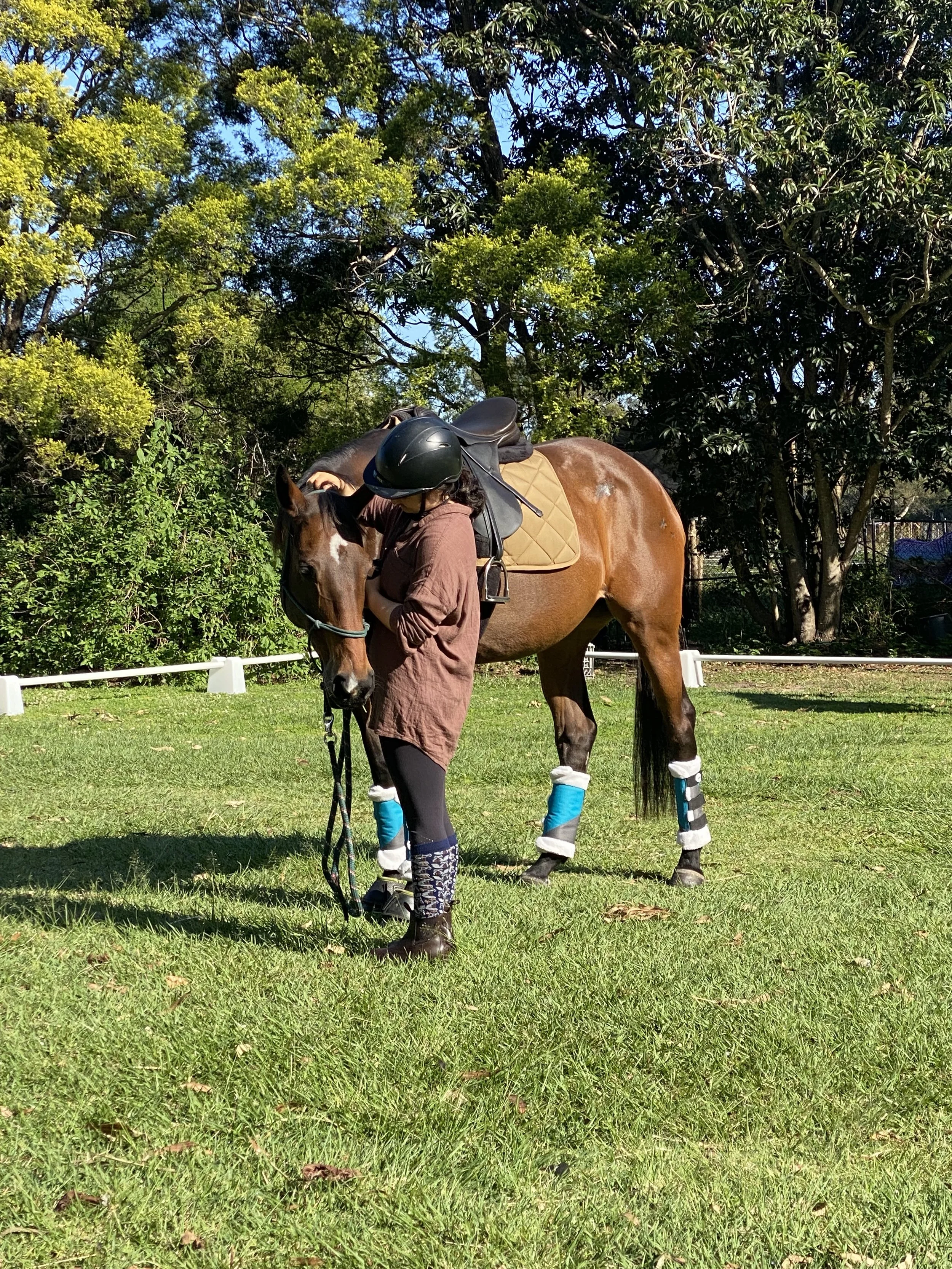 Horse Riding Lessons Brisbane | Ethical Horsemanship Training ...