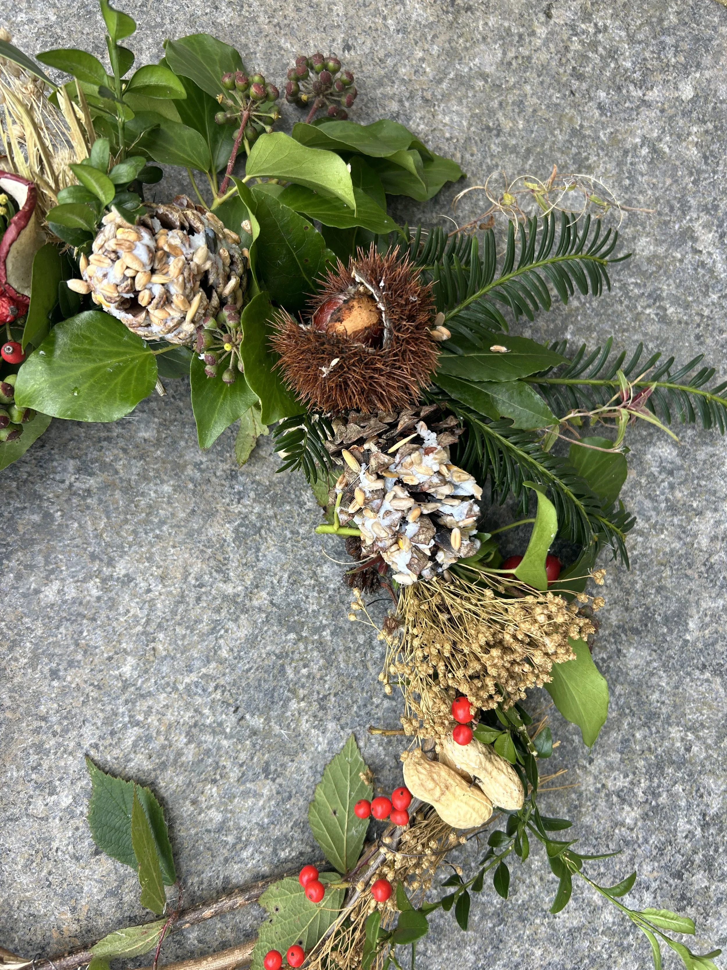 Winter Bird feeder Wreath Workshop — Cornish Wreath Maker