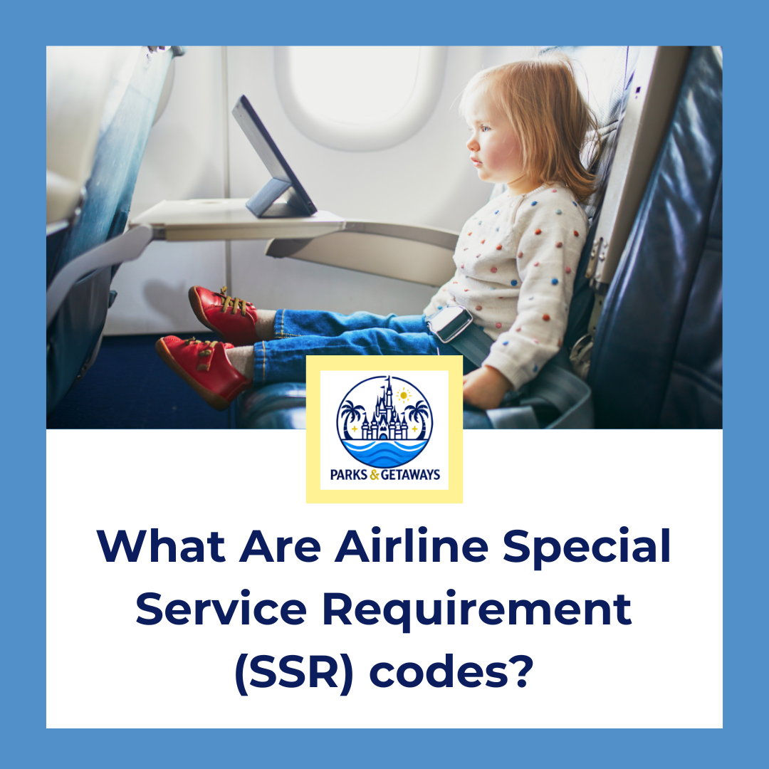What Are Airline Special Service Requirement (SSR) Codes? — Parks ...