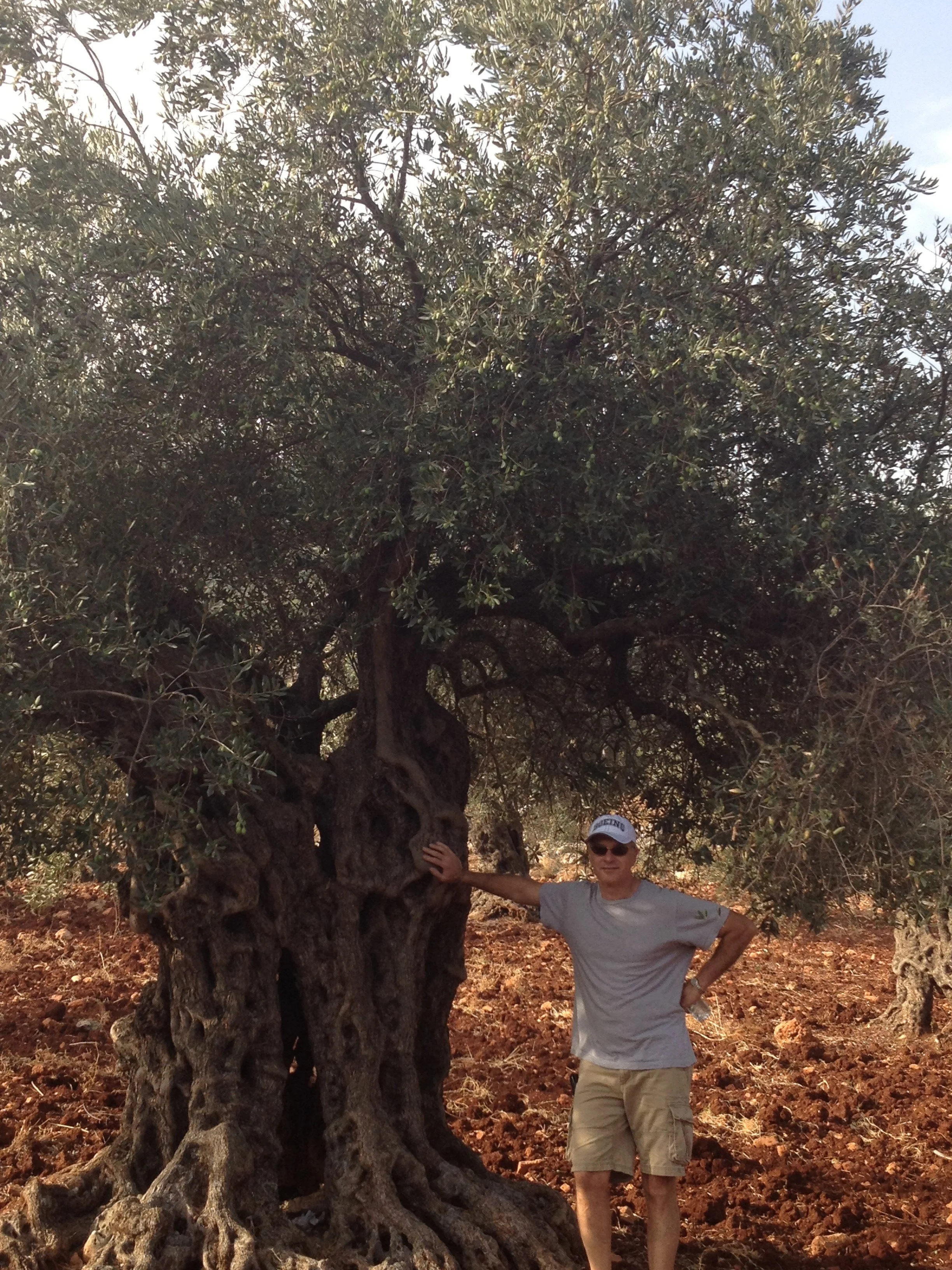 George Kassis — Dunya Productions