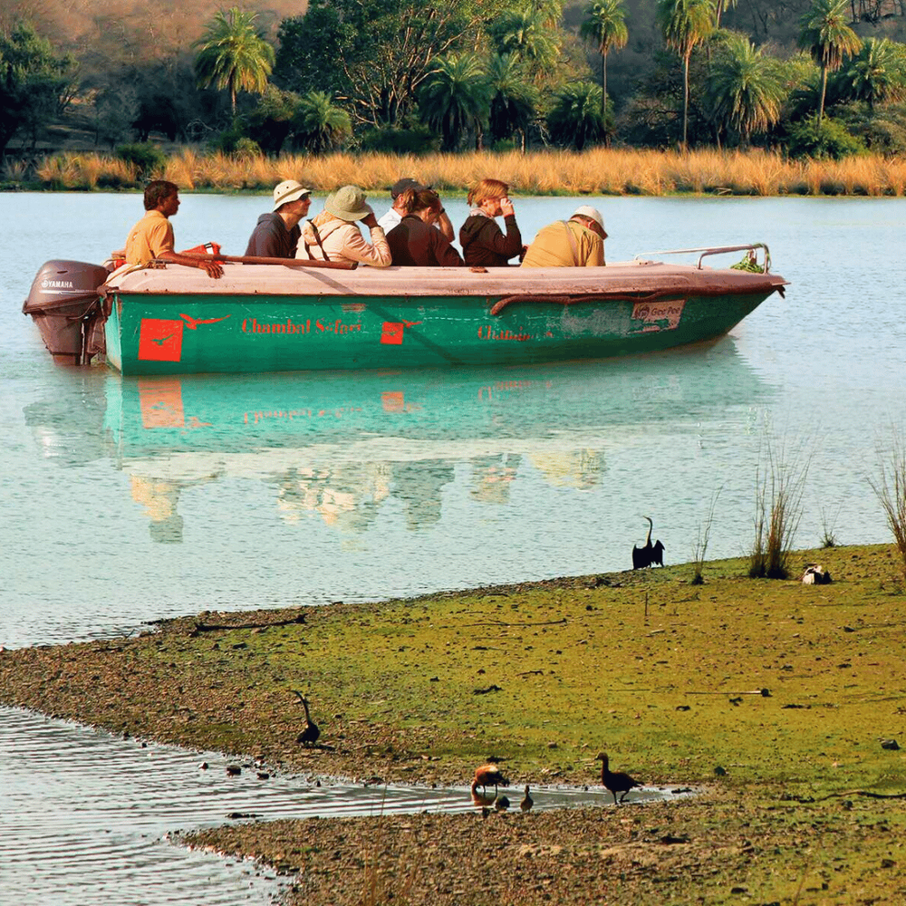 22 Days - Quintessential India - India Unbound