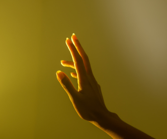 Fawning: Understanding the Trauma Response and How to Heal — Ashley ...