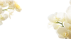 Meridian Massage Spa | Experience Wellness Today