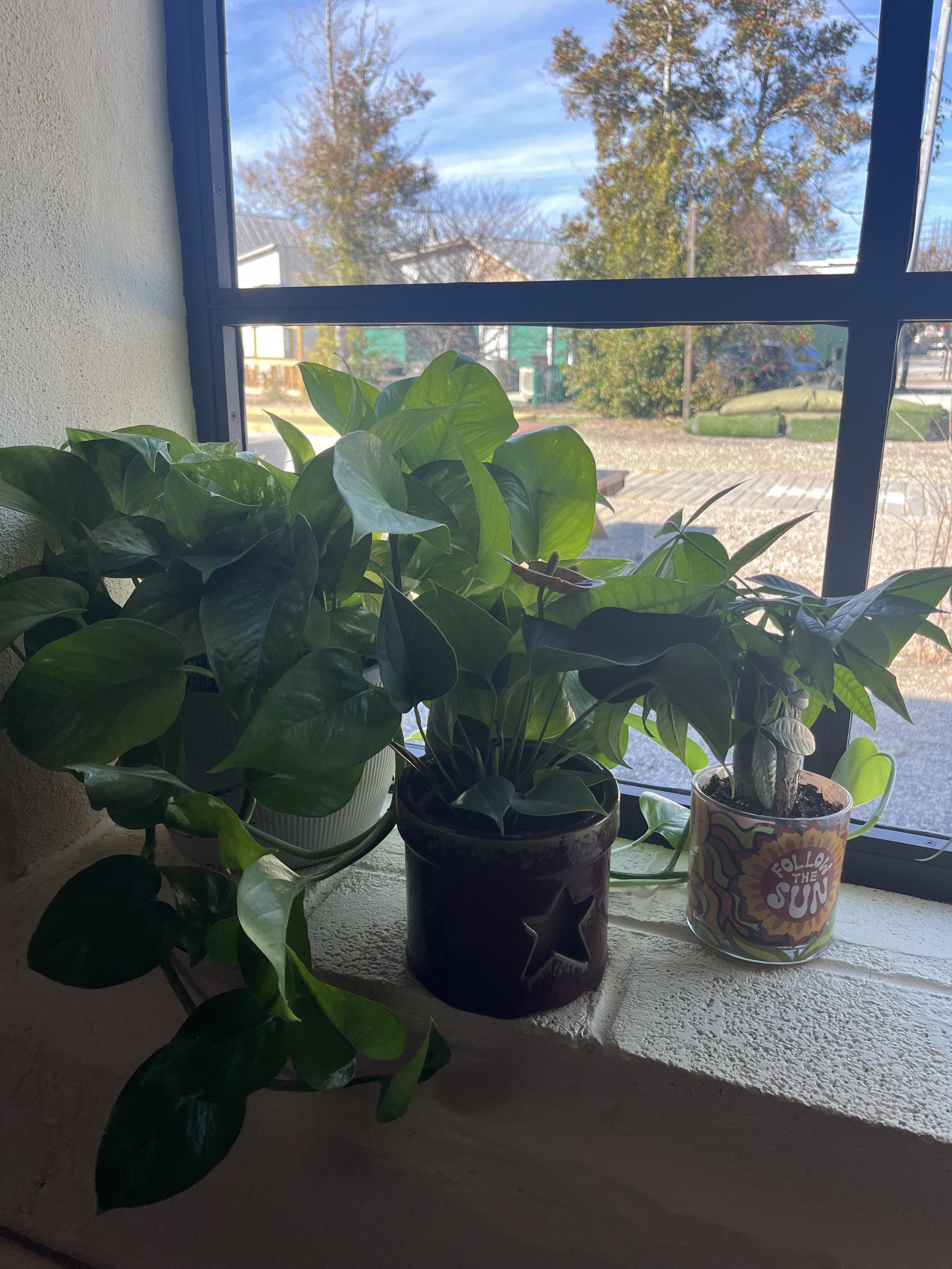 fireflycafenewbern.com