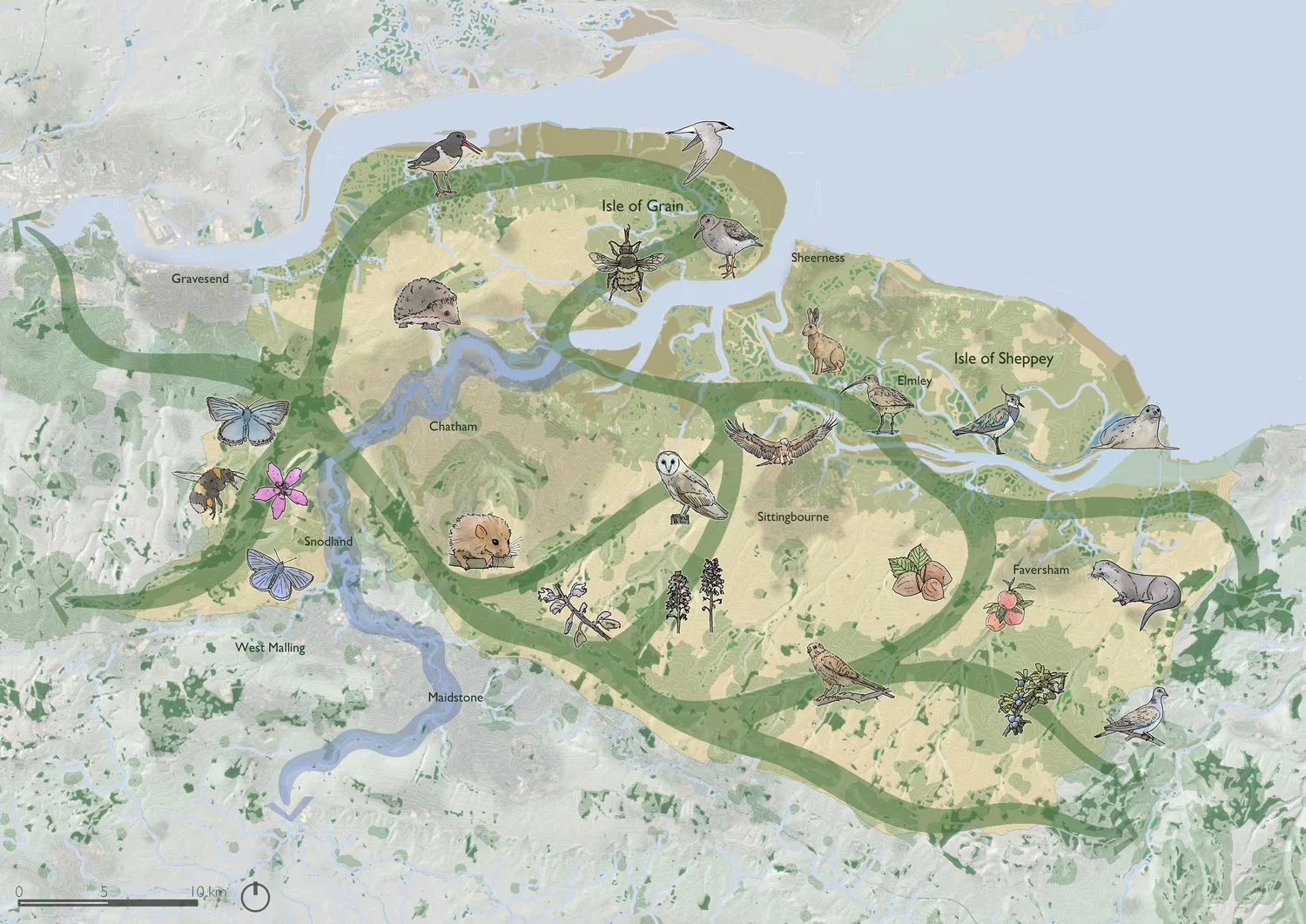 Chalk to Coast - Kent Nature Recovery