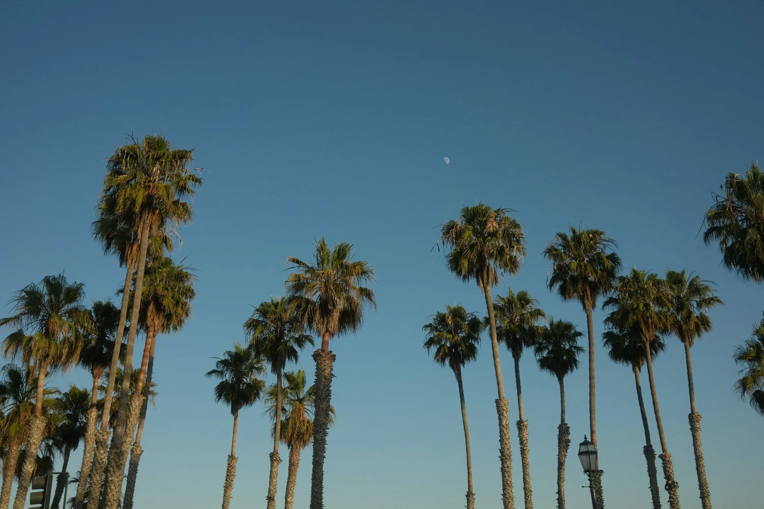 GranVida | Senior Living & Memory Care | Carpinteria