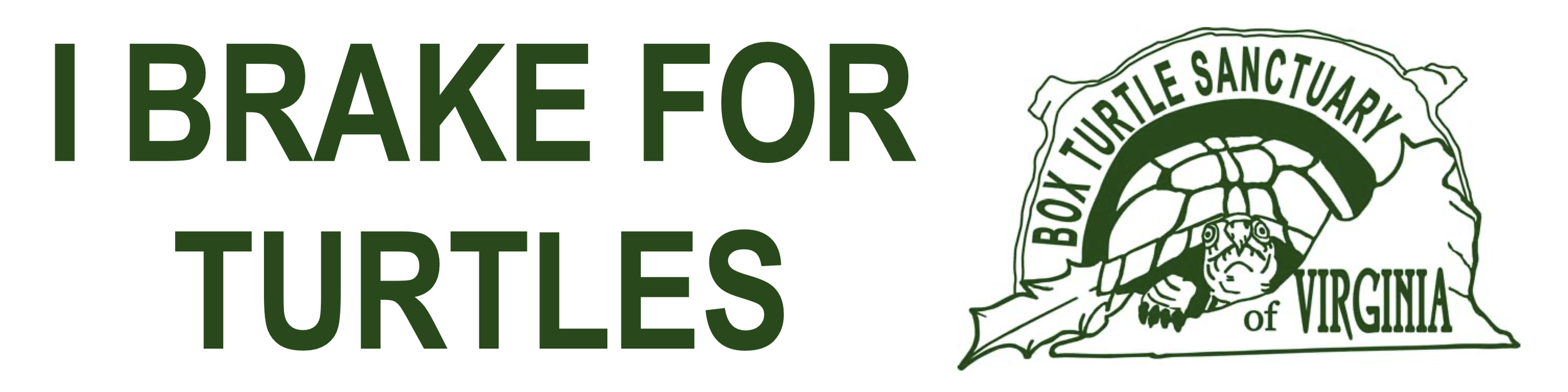 What We Do — Box Turtle Sanctuary of Central Virginia