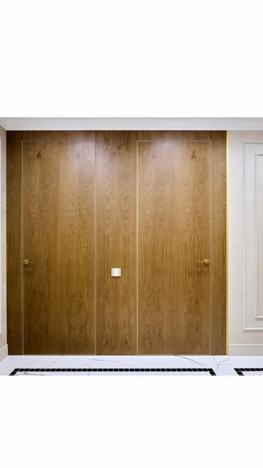 Wall panel hidden door — Flush Doors