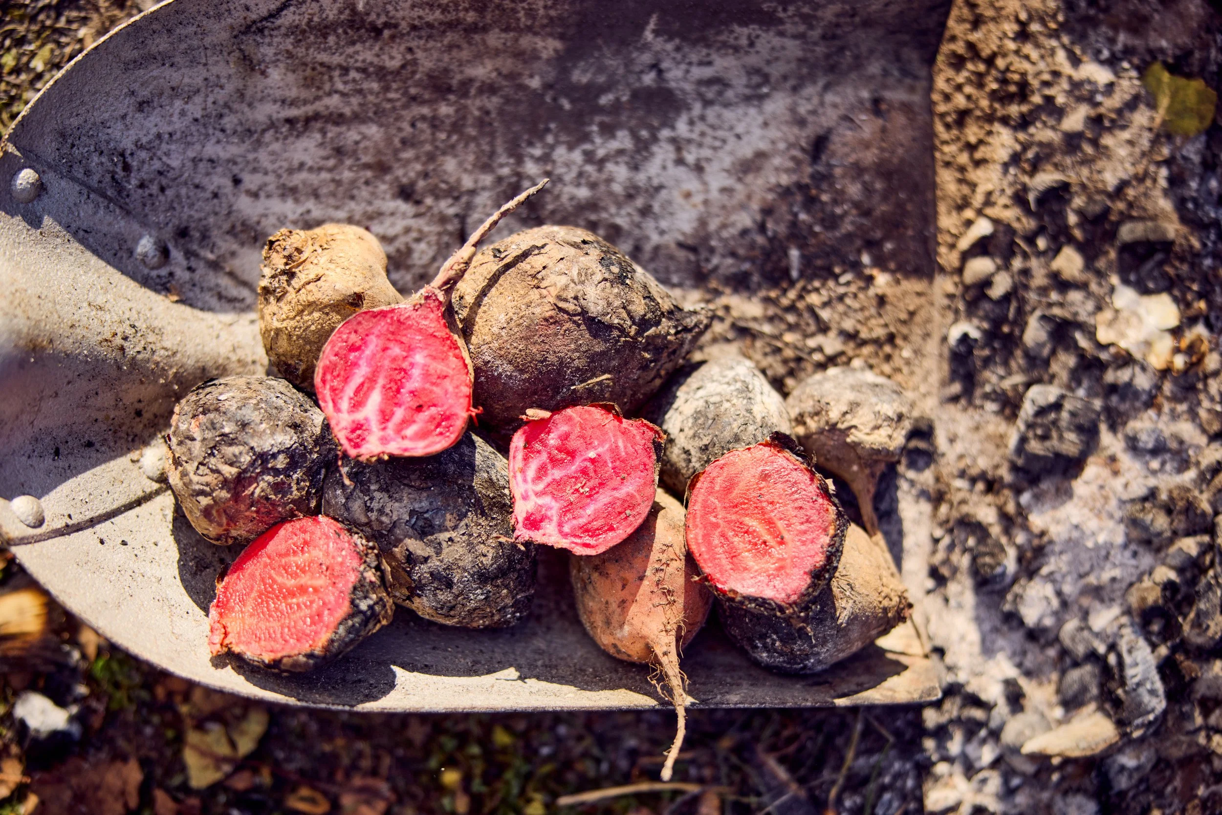 The Shepherd's Hearth