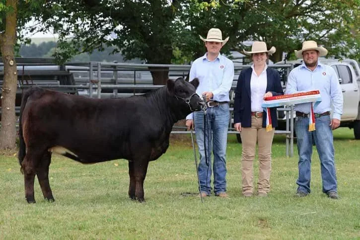 Competitions — Braidwood Show