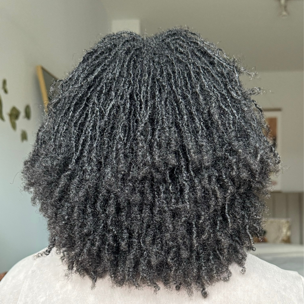 Microlocs & Sisterlocks Appointments Near You | Global Loctician ...