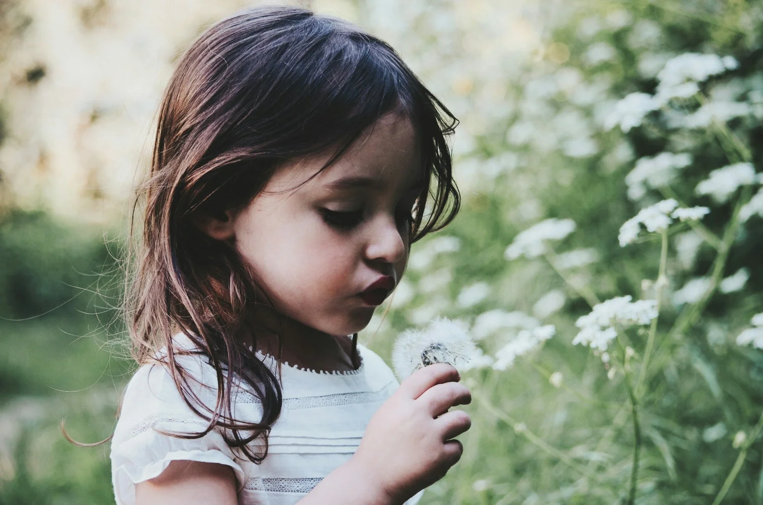 The Children's Life Coach