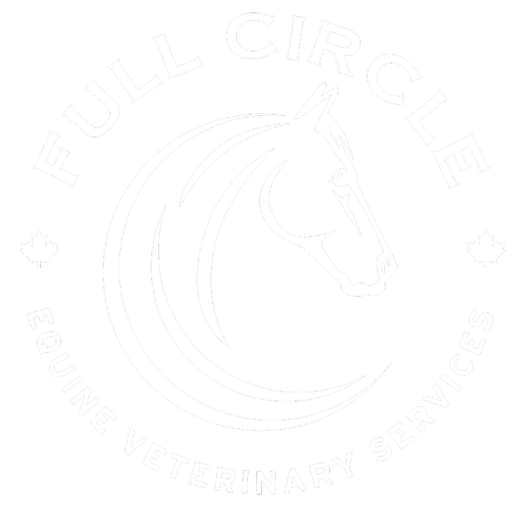 Full Circle Equine Veterinary Services