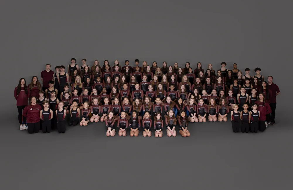 Precision Gymnastics