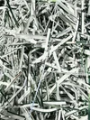 Edinburgh — Change Waste Recycling