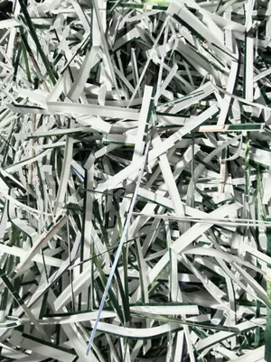 Edinburgh — Change Waste Recycling
