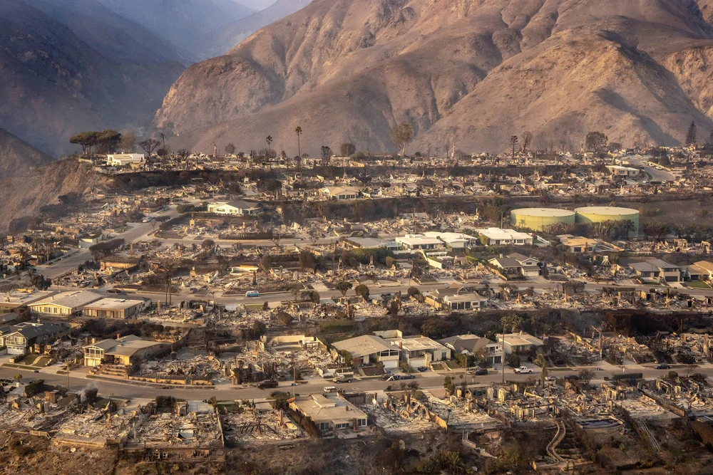 California Rises Fires Fund