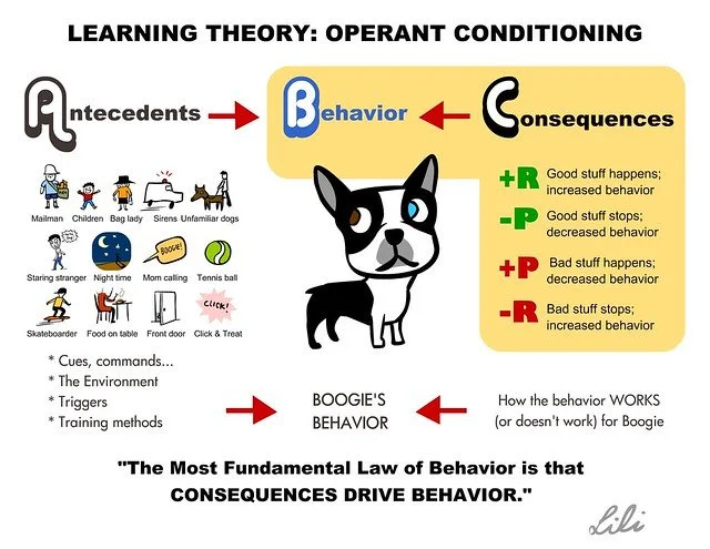 The ABCs of Dog Training. — Clickstart Dog Training Academy