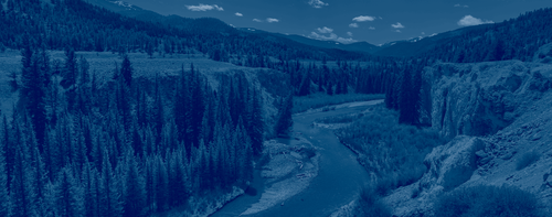 Our People — Colorado Democratic Party