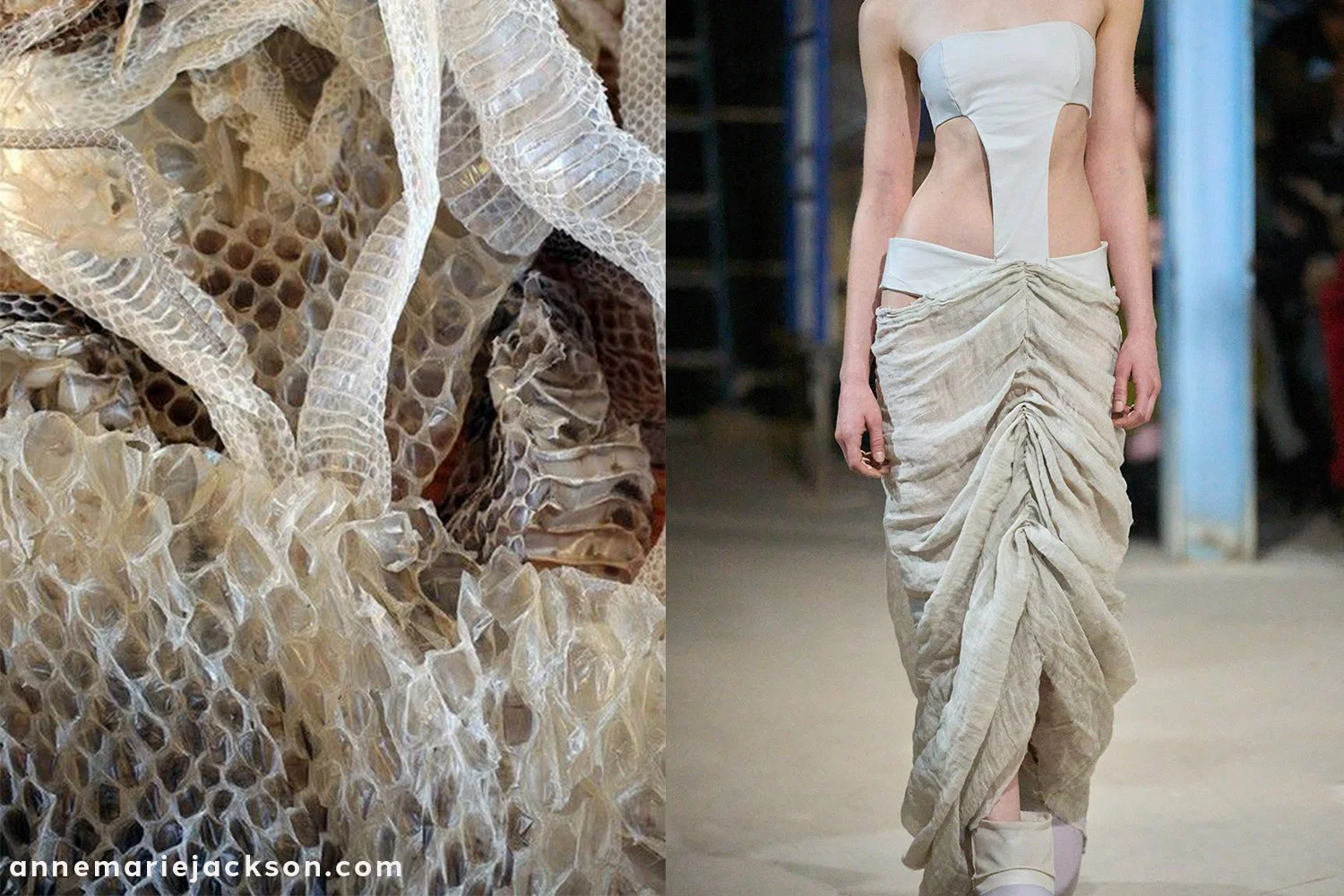 The Trend of Shedding — Anne Marie Jackson