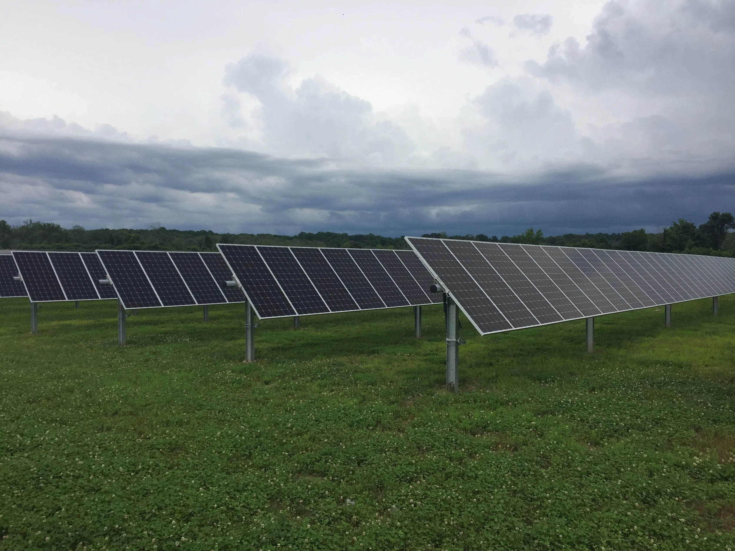 Crossroads Solar Grazing Center