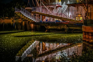 Reflections — The River Connects Us