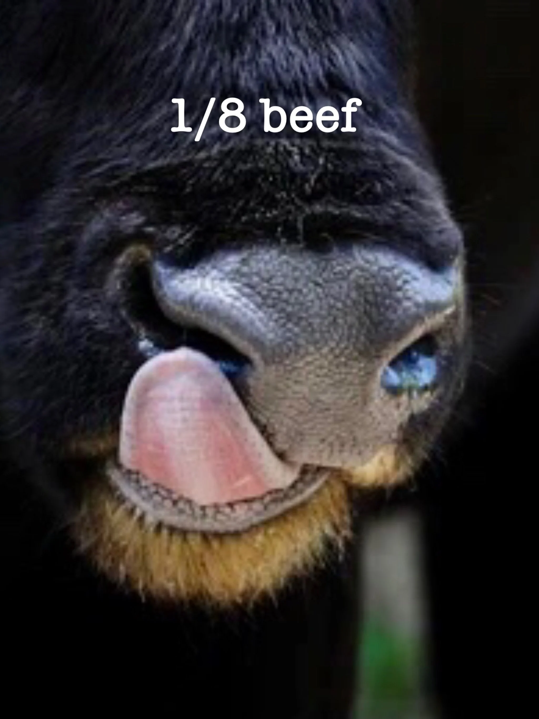 1/8 beef deposit February 5th — Rocking J Ranch